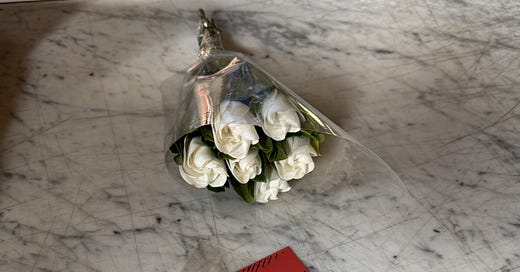 Sophie's Substack | Substack