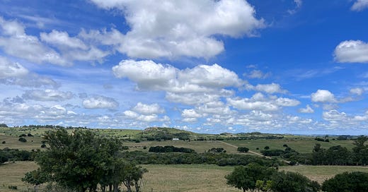 The Preparation | Maxim Benjamin Smith | Substack