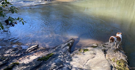 Coming Down to Earth with Barbara Brown Taylor | Substack