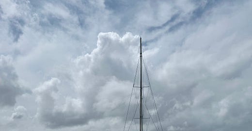 Wordy Bird | Susan Orlean | Substack