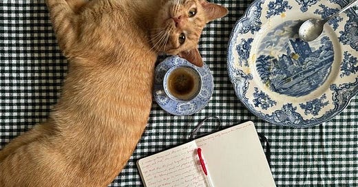 the weekly scrapbook | jc | Substack