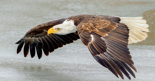 David’s Substack | Dave Dempsey | Substack