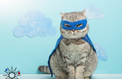 All the Stories | Amy C. Williams | Substack