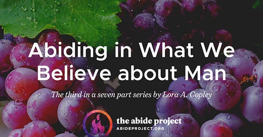 The Abide Project | Substack