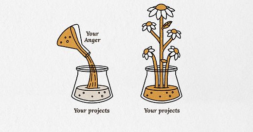 Visual Growth | Ash Lamb | Substack