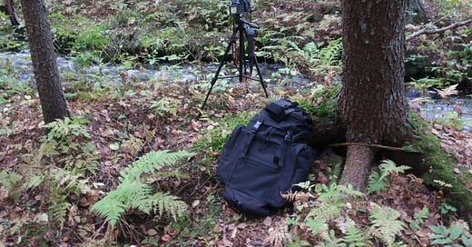 Views from the North | Jani Heino | Substack