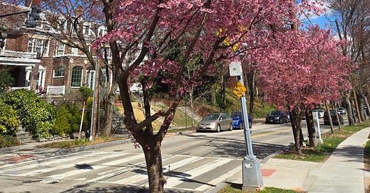 Rise and Shine Kids Club | Substack