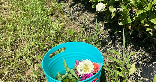 House of Green | Alexandra Fasulo | Substack