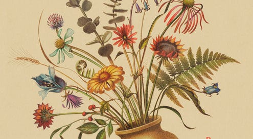 A Rebellion of Care | David Gate | Substack