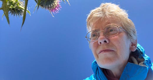 FLOW : Letters from the moss | Michela Griffith | Substack