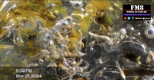 FM8’s Substack | Substack