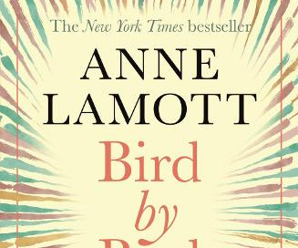 Write More with Simon K Jones | Substack