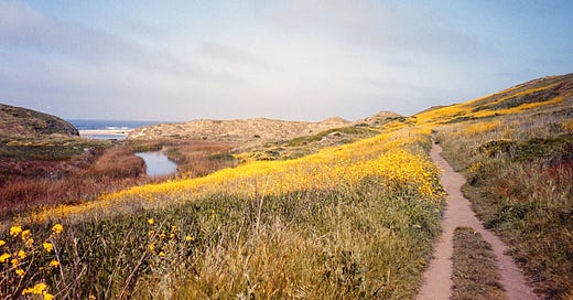 Human Stuff | Lisa Olivera | Substack