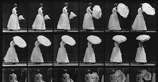 Meditations in an Emergency | Rosecrans Baldwin | Substack