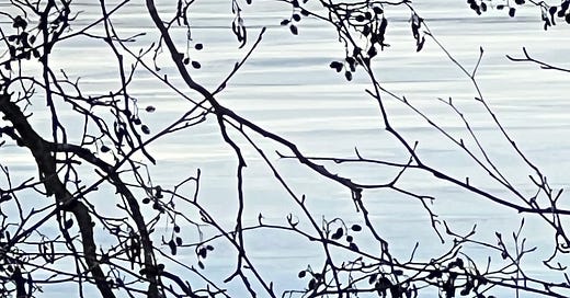 Daniel Alm | Substack