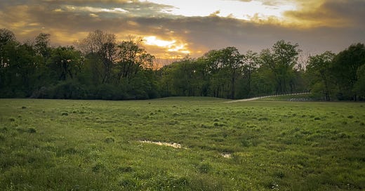 Jessica Adam | Substack