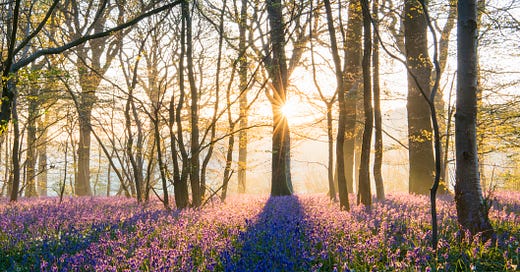 Letters of Note | Shaun Usher | Substack