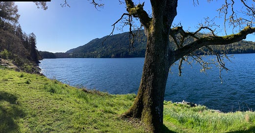 Welcome to Absurdistan | elizabeth nickson | Substack