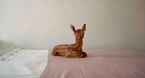 Leather & Silk | Alexandra Kyle | Substack