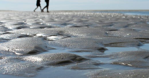 Whole Human Mama | Graeme Seabrook | Substack