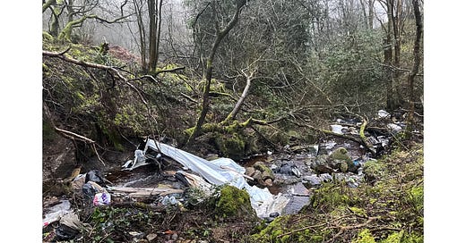 It's Looking A Bit Black Over Bill's Mother's | David Bocking | Substack