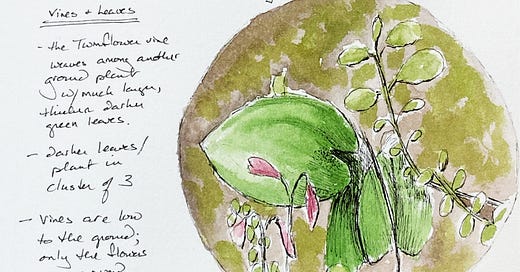 Cricklewood Nature Journal | Susannah Fisher | Substack