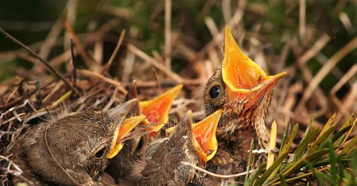 Faith Seeking Understanding | Allan Bevere | Substack