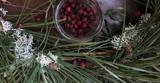 Jaymie’s Substack | eagle rock and the wolf | Substack