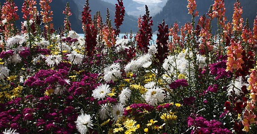 Everyday Heaven...Live Each Extraordinary Day | Cheryl Dalsanders | Substack