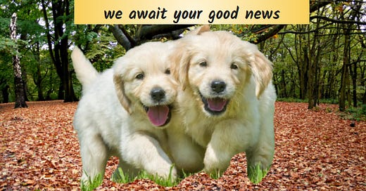 Lit Mag News | Becky Tuch | Substack