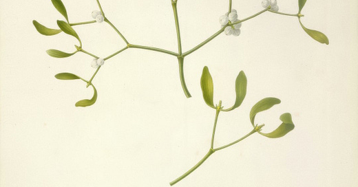 Over the Field | Hadden Turner | Substack