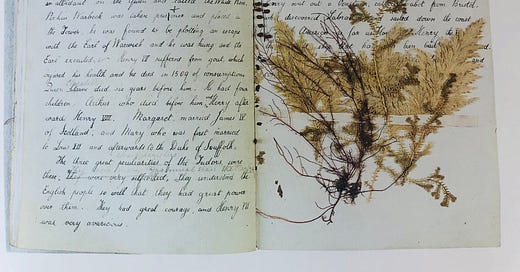 Noted | Jillian Hess | Substack