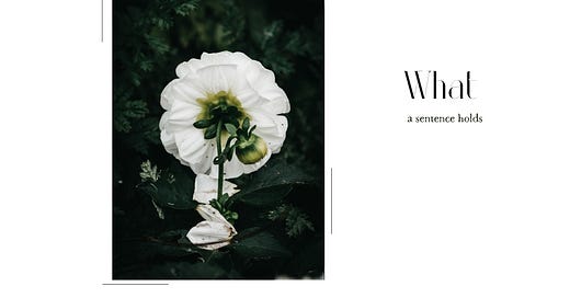 Pollination Garden | Mel Adams | Substack