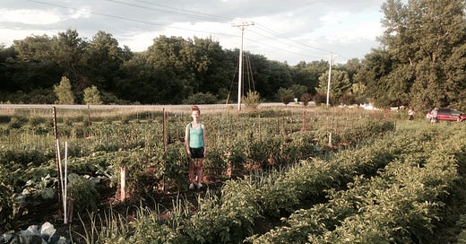 The Swine Republic | Chris Jones | Substack