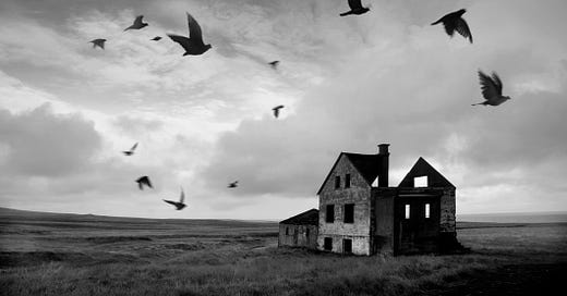 The Audacity. | Roxane Gay | Substack