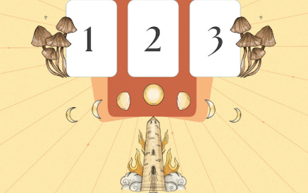 The Shuffle with Chelsey Pippin Mizzi | Substack