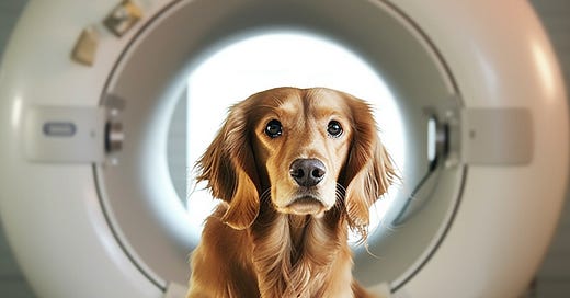 VETPIL | Carlos Martínez Gil | Substack