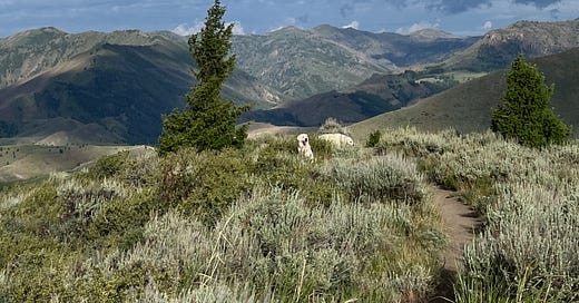 Madison Spain Club | Blakely Spoor | Substack