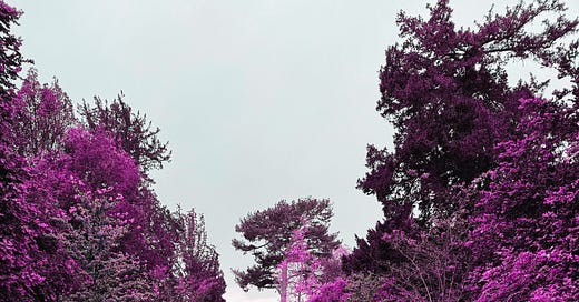 The Sacred Life | Chez Chardé | Substack