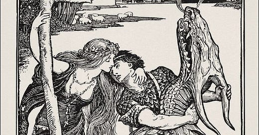 The Orange & Bee | Substack