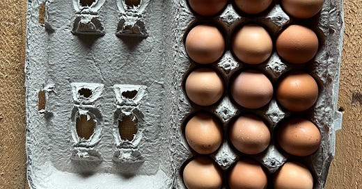 House of Green | Alexandra Fasulo | Substack