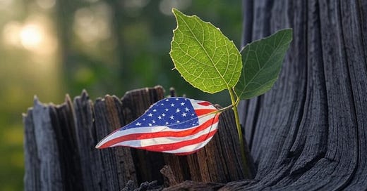 How To Survive Trump 2.0 - by Keith Edwards