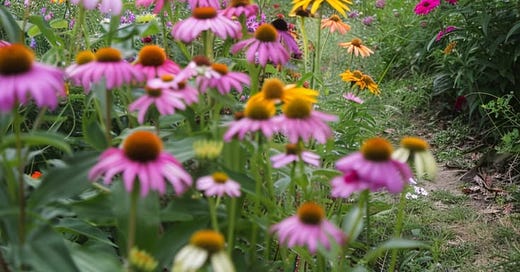 A Common Thread | Jess Kirby | Substack