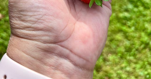 More Than Fashion | Oralia Martinez | Substack