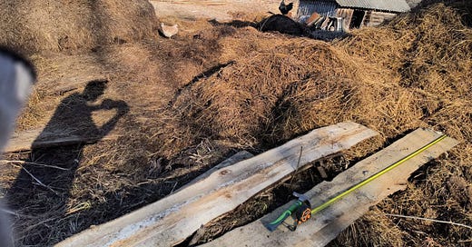 Edward Slavsquat | Substack