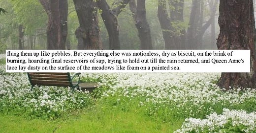 Blue Hour | Stacey | Substack