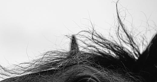 Omnipresence: The Created and the Perverted | Almer Alice He | Substack