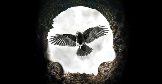 Only Child Originals | Garen Marie | Substack