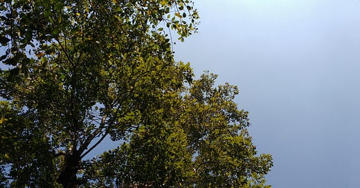 Reading This World by Karthik | Substack