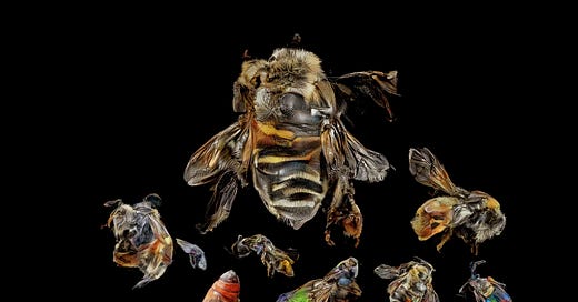 Archive - Exponential View